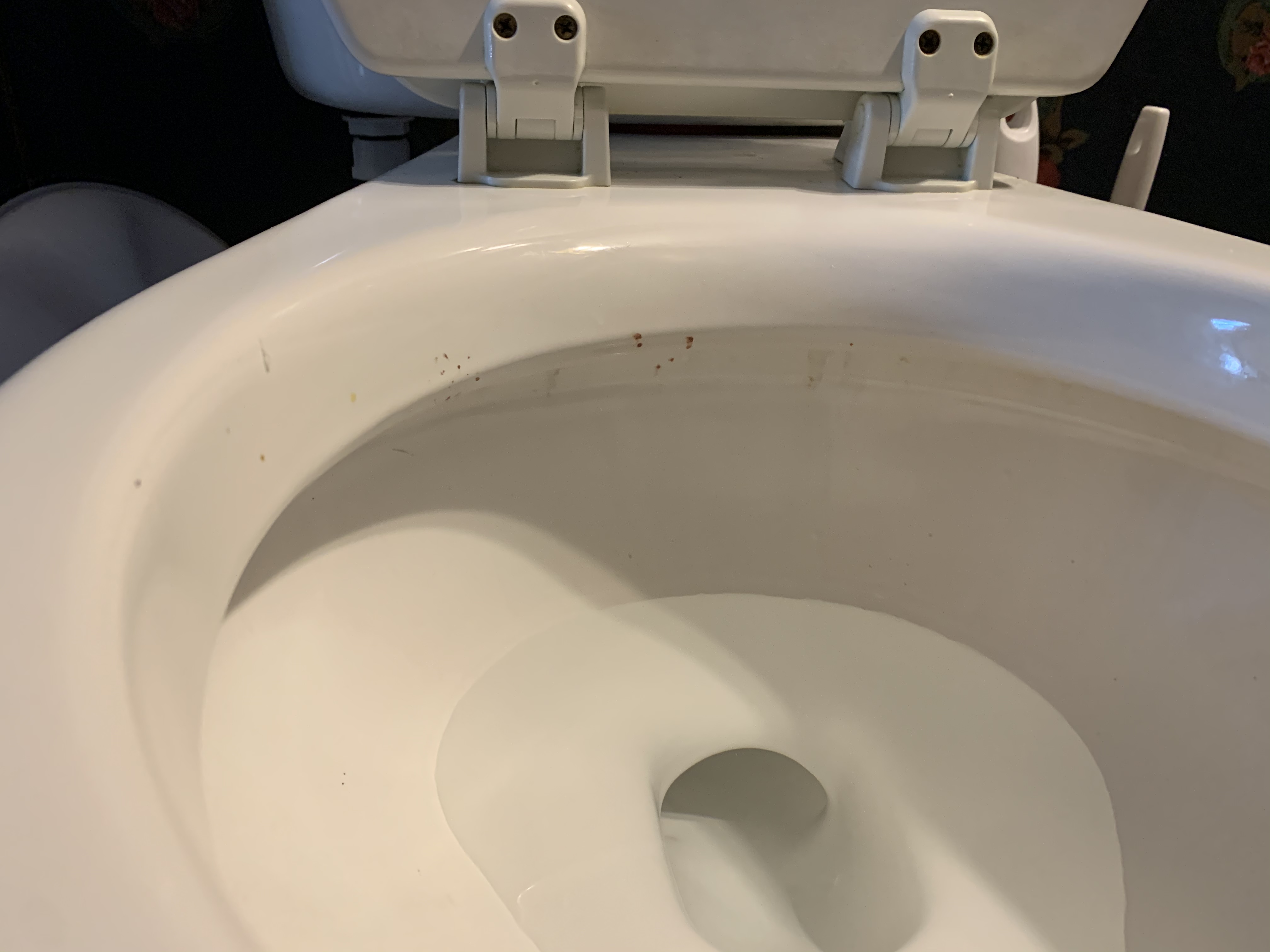 Handy Reviews - 199 Reviews of Handy.com | Sitejabber