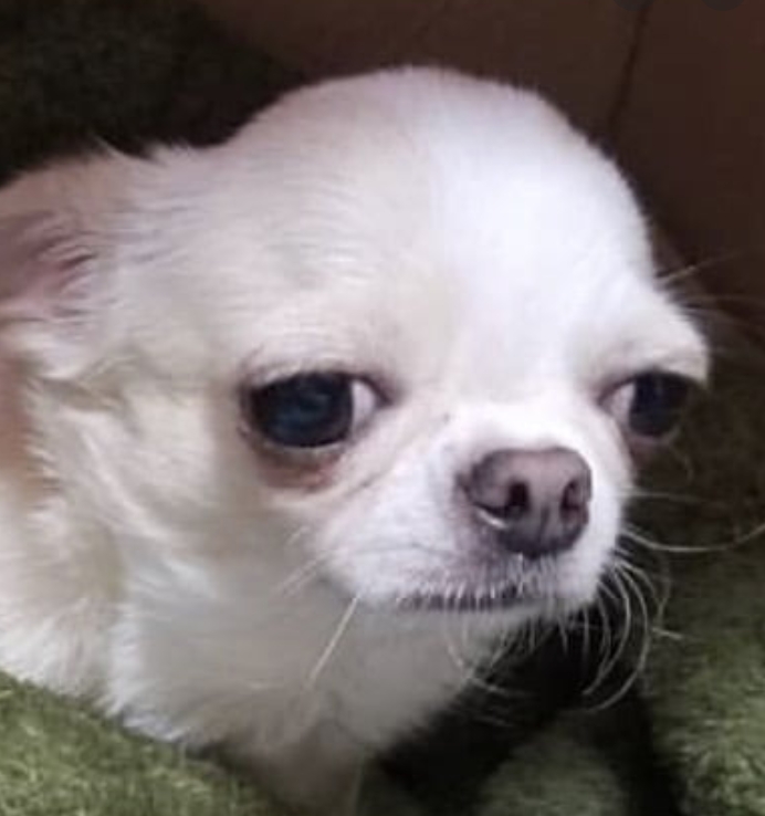 Jilly Juice, LLC Reviews - 274 Reviews of Jillyjuice.com | Sitejabber